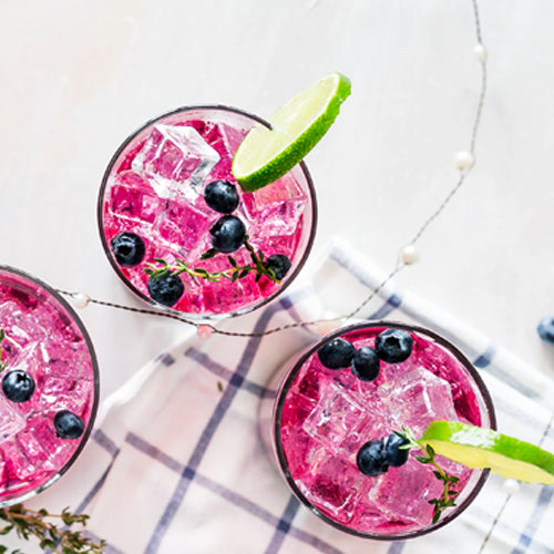 MEAL PLANS | Wise Crafters